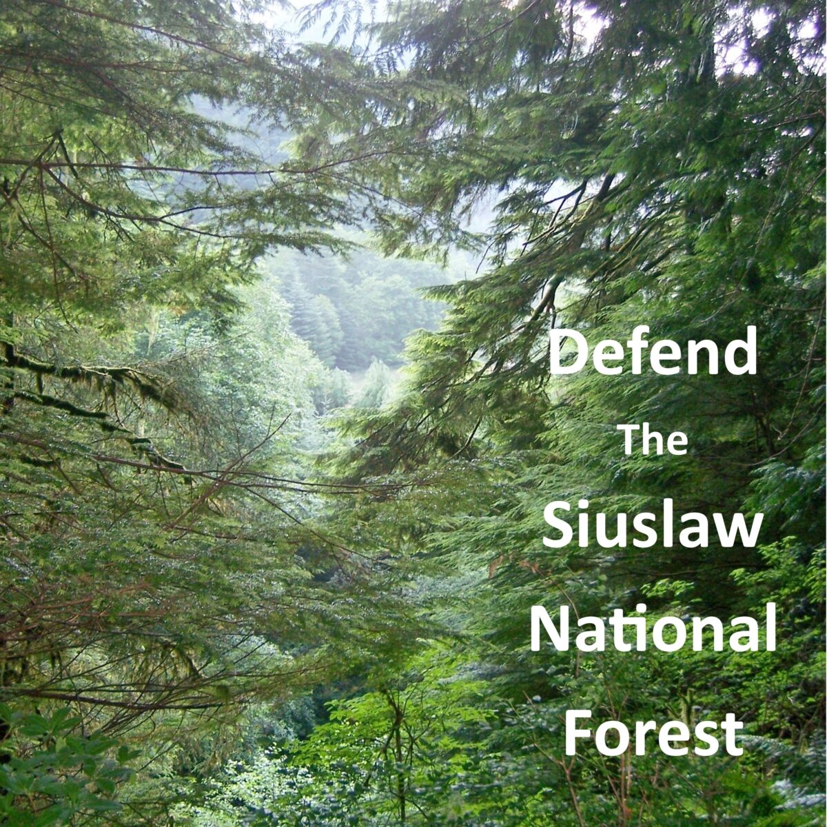 Siuslaw Action – Coast Range